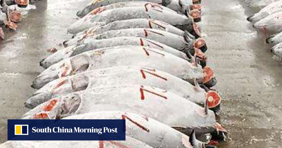 Trouble at Tsukiji: world’s biggest fish market caught in limbo as move ...