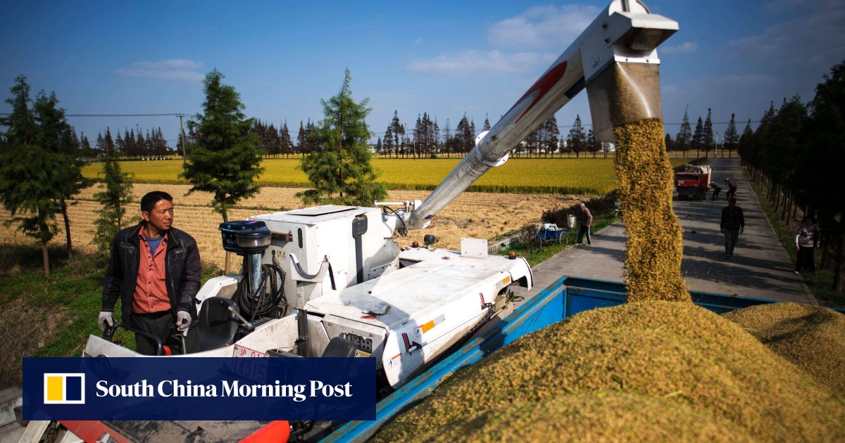 US files WTO complaint against China over grain import restrictions ...