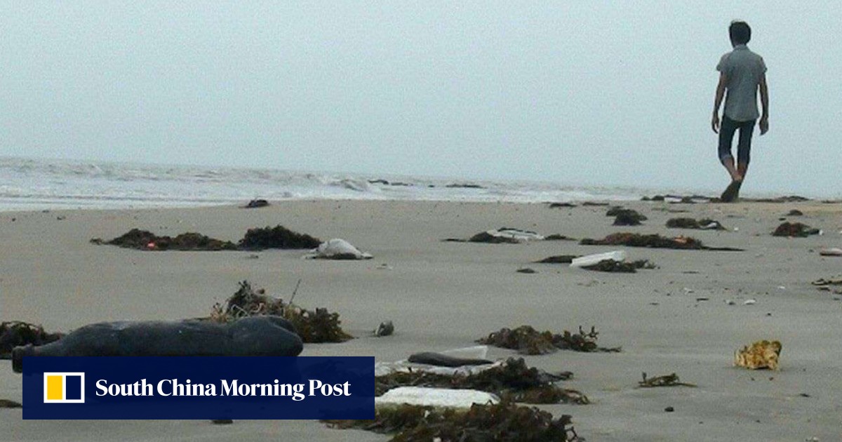 Vietnam says recovery from Formosa industrial disaster could take a ...