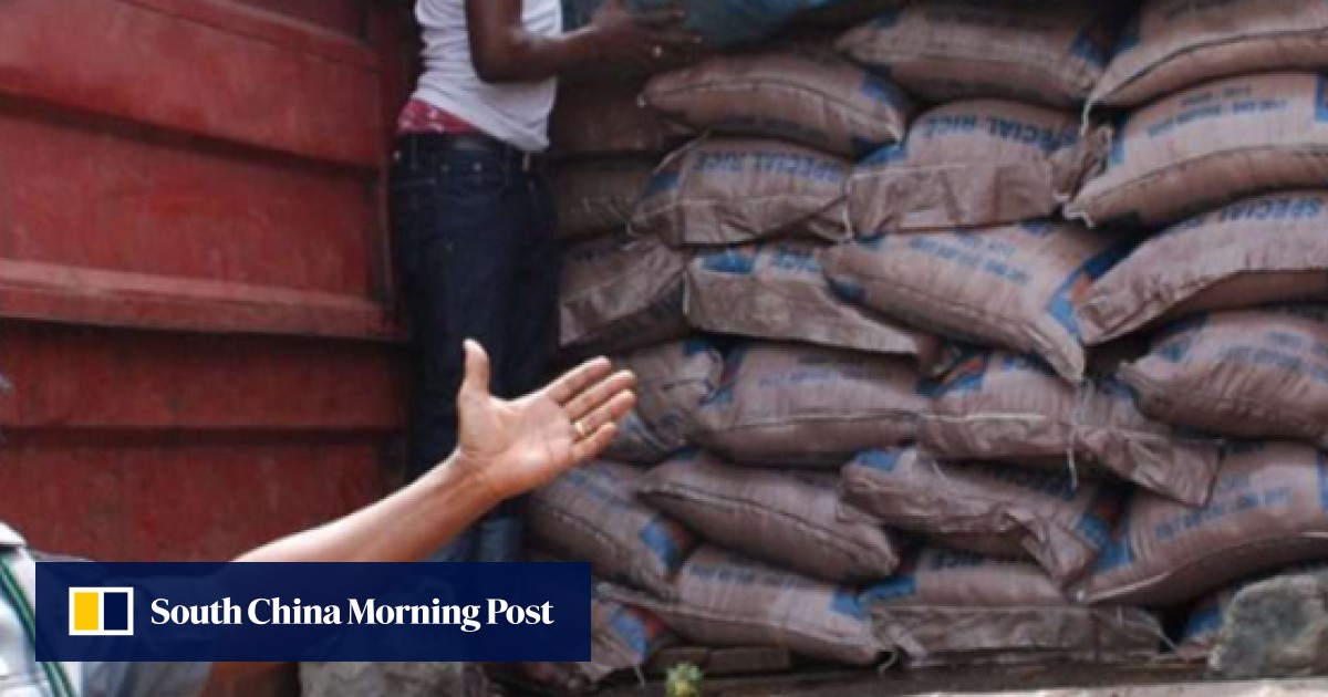 Artificial food intended for display only, say Chinese manufacturers ...