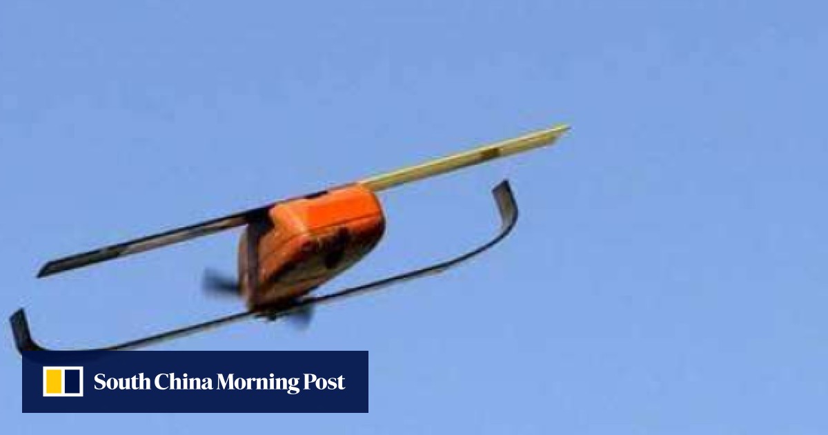 ‘A collective organism, sharing one distributed brain’: Pentagon ...