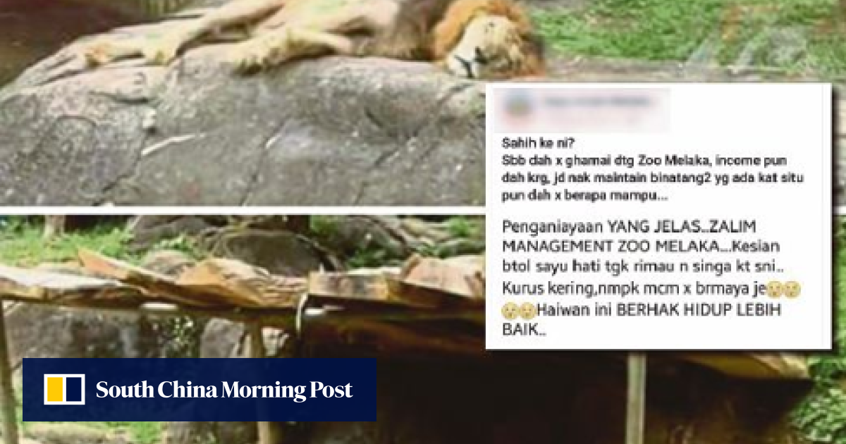 No case of animal abuse at Malaysian Zoo | South China Morning Post