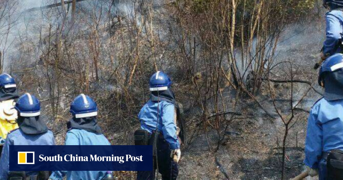 85 Hong Kong hill fires reported during Ching Ming festival three times ...