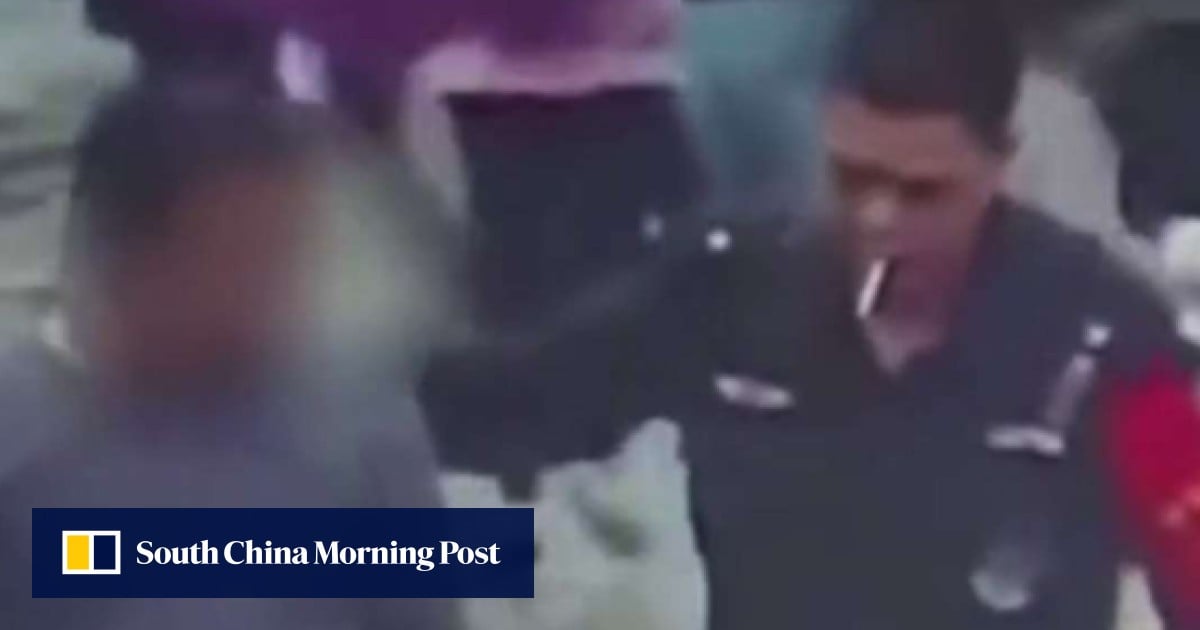 Bumbling Chinese snatch thief runs straight into police station after ...