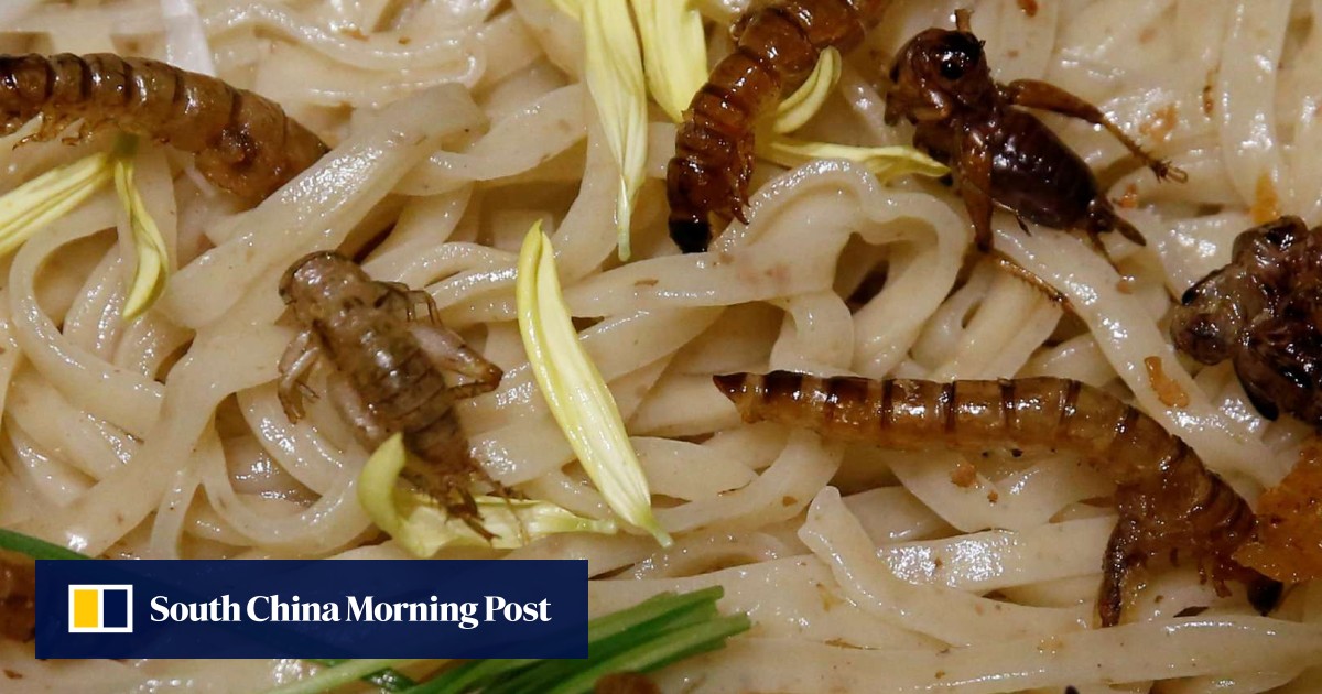 ‘Like deep-fried shrimp’: diners lap up insect-topped ramen at Tokyo ...