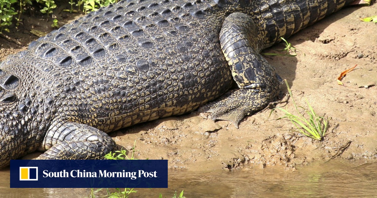 The gloriously empty Top End of Australia’s Northern Territory, home to ...