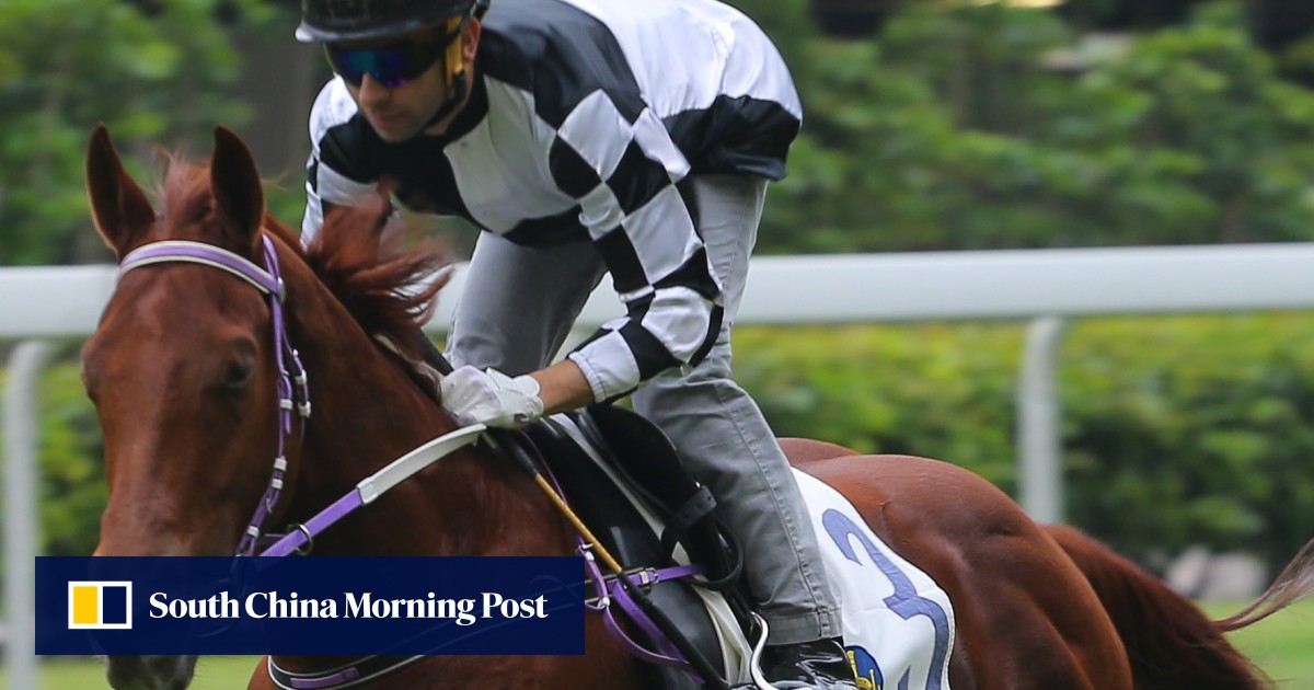 Despite defeat, don’t jump off the talented Master Albert | HK Racing ...