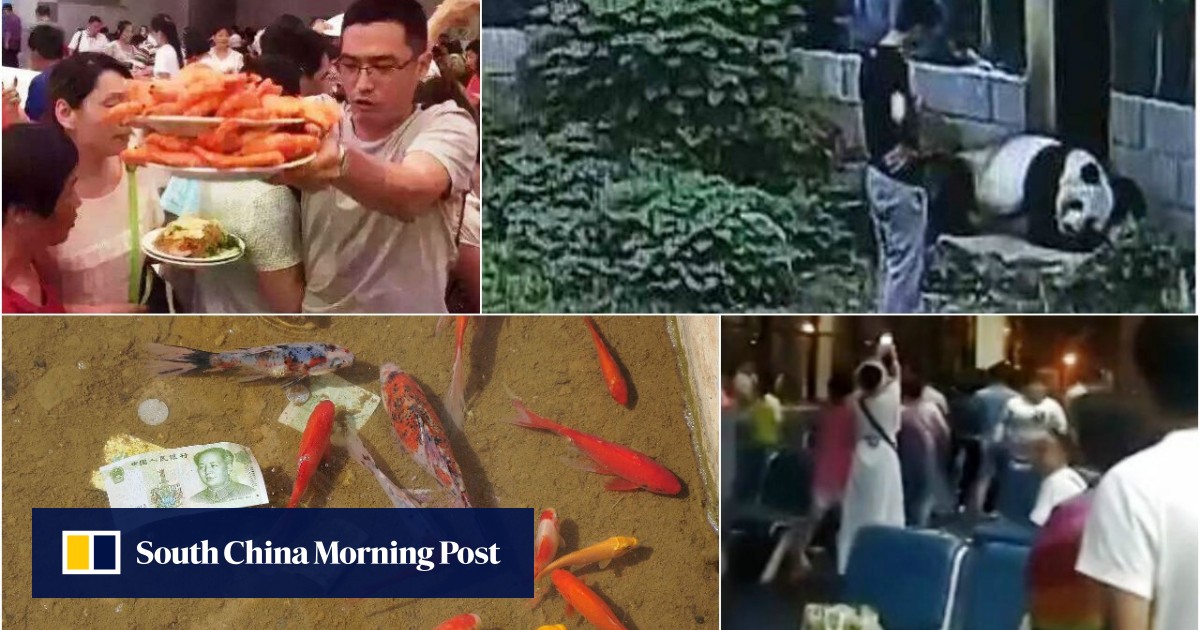 42 times tourists were caught behaving badly | South China Morning Post