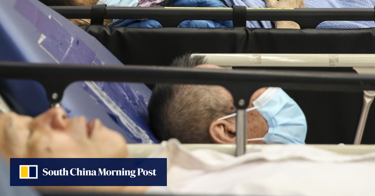 Hong Kong’s Chinese medicine doctors ‘could help during flu crisis ...