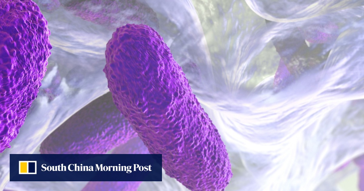 Health officials in Hong Kong and mainland China unite to battle deadly ...