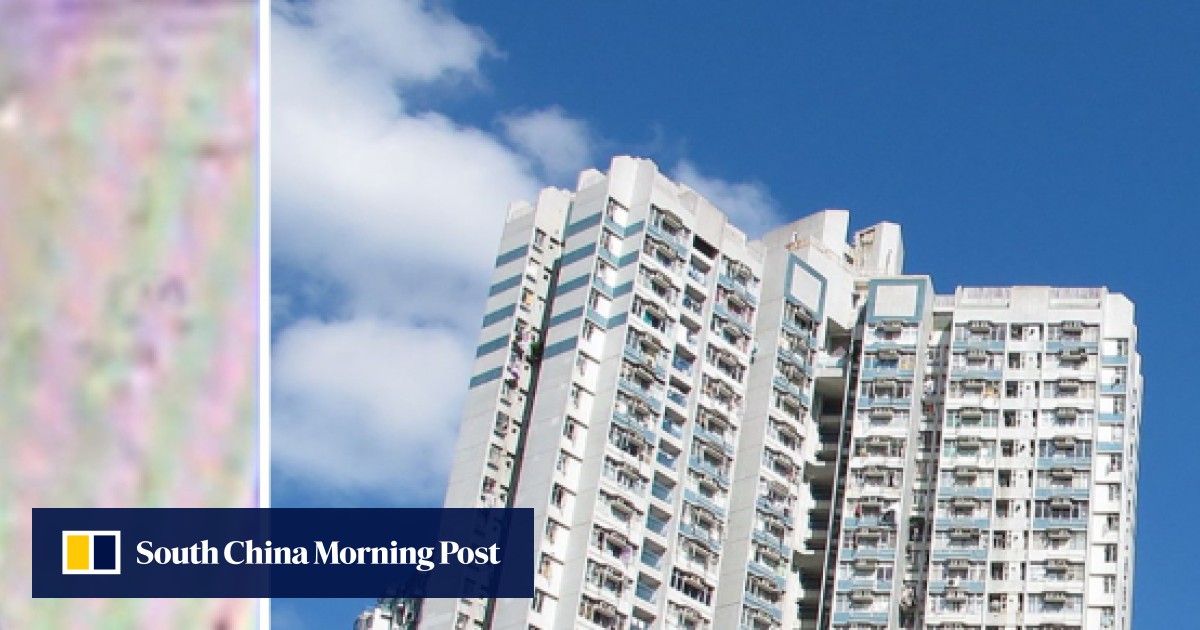 Suspected Hong Kong Triad Member Arrested After Allegedly Forcing