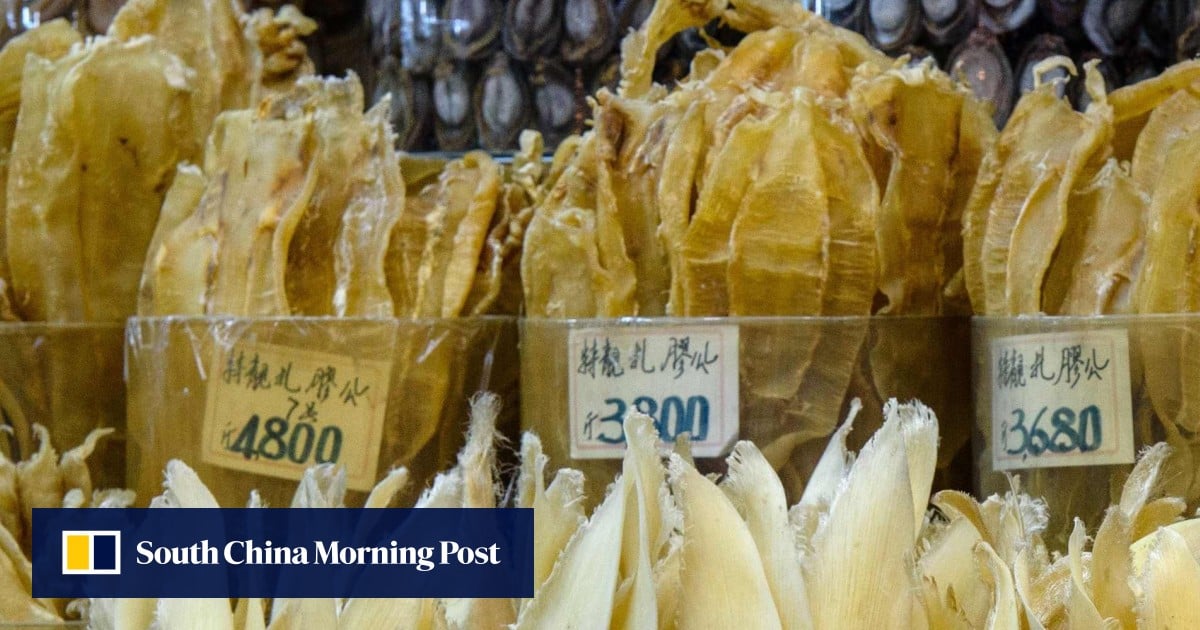 More than a third of Hong Kong shark fin products are from threatened ...