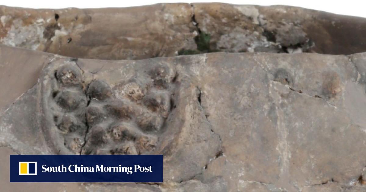 Earliest evidence of wine made from grapes is found in Georgia in 8,000 ...