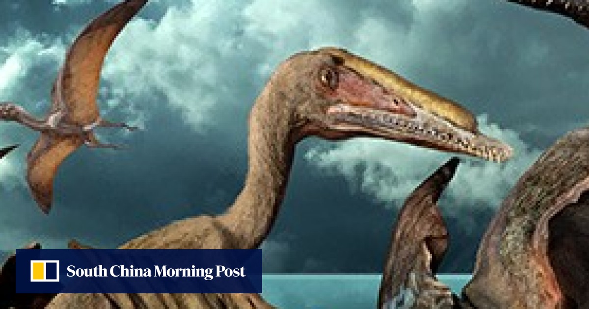 Over 200 fossilised flying reptile eggs found in China | South China ... Over 200 fossilised flying reptile eggs found in China | South China ...