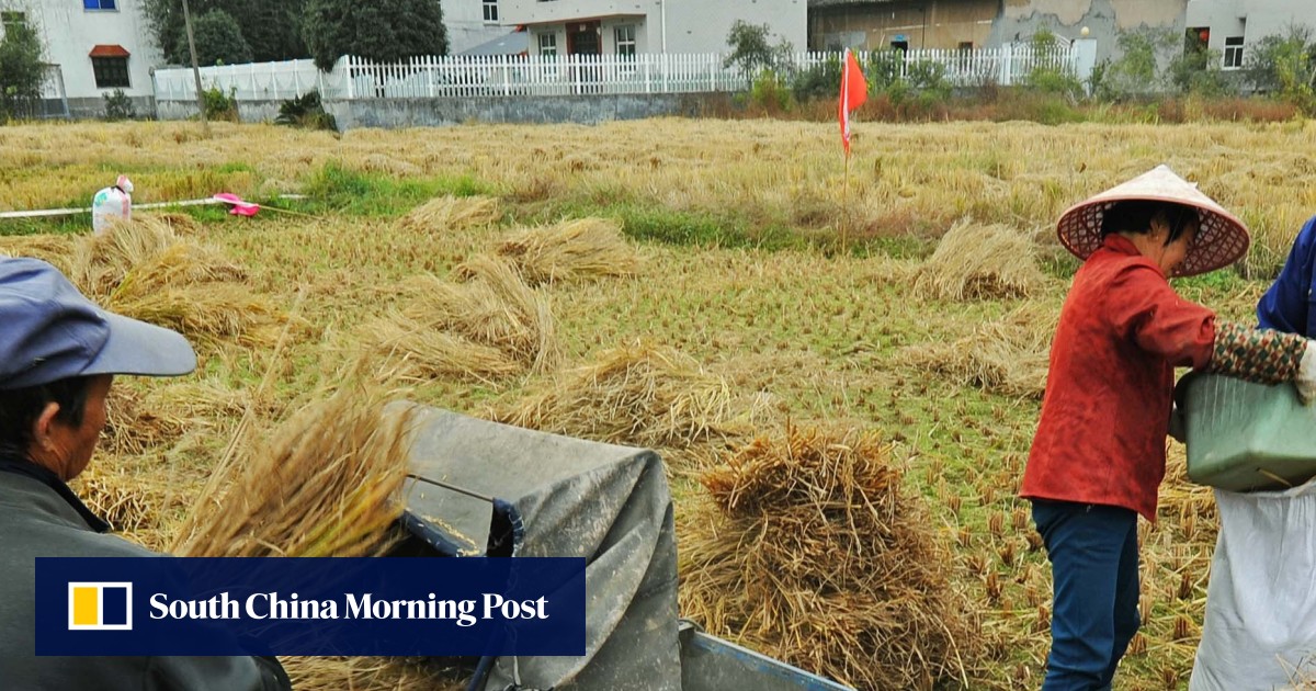 China vows to modernise massive farm sector, amid growing wealth gap ...