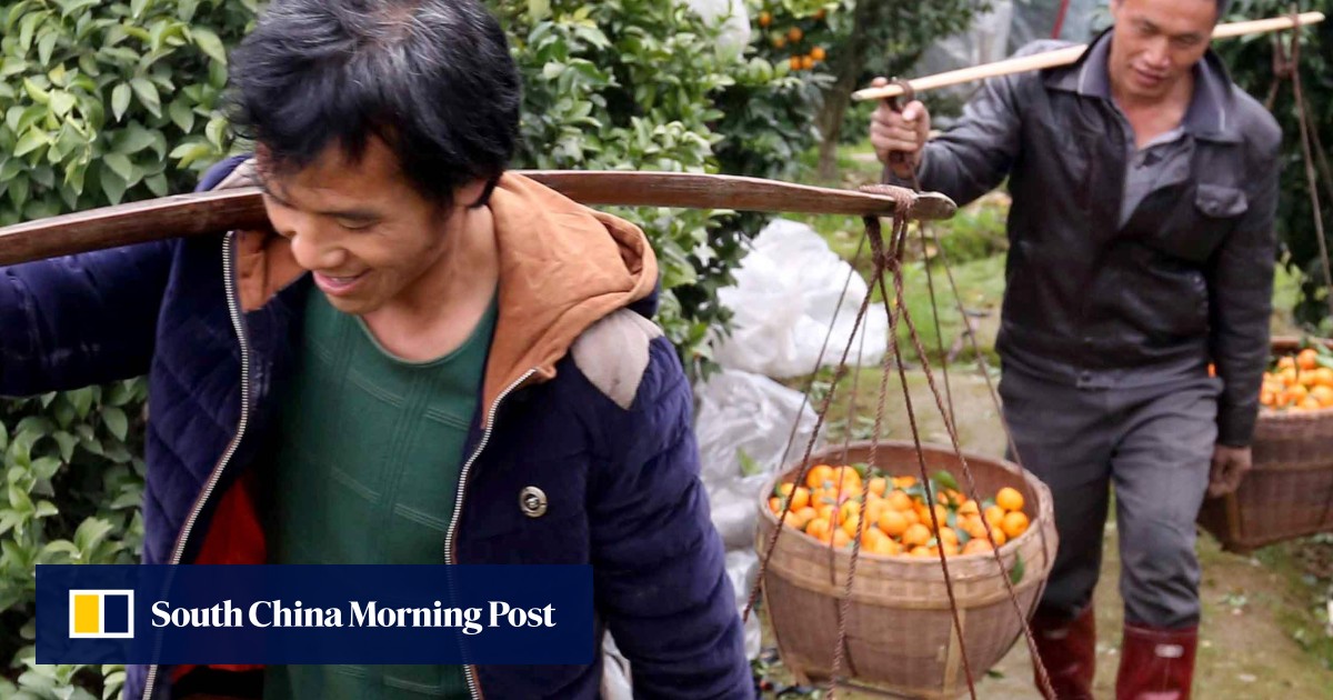 China reforms rural land use, mindful of the risks to ecology and ...