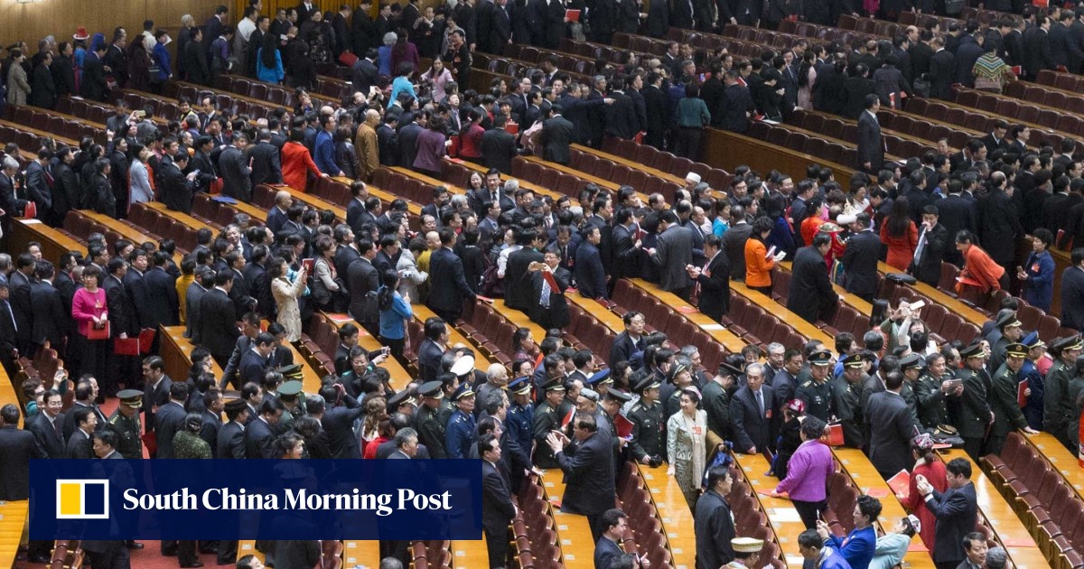 Hong Kong’s China deputies forgo local by-election vote in show of ...
