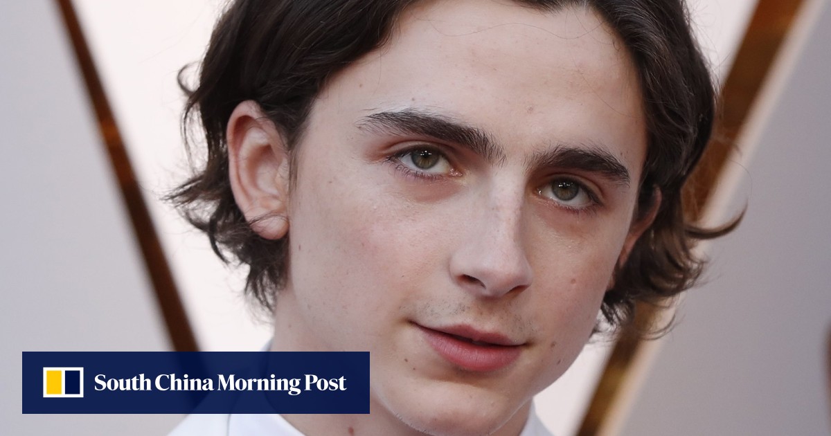 Oscar nominee Timothee Chalamet gets a ‘Sweet’ Chinese nickname | South ...