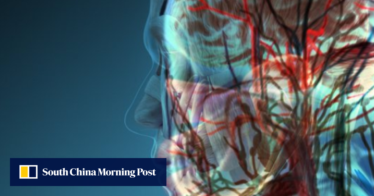 The largest organ in the body may have just been discovered — and it ...