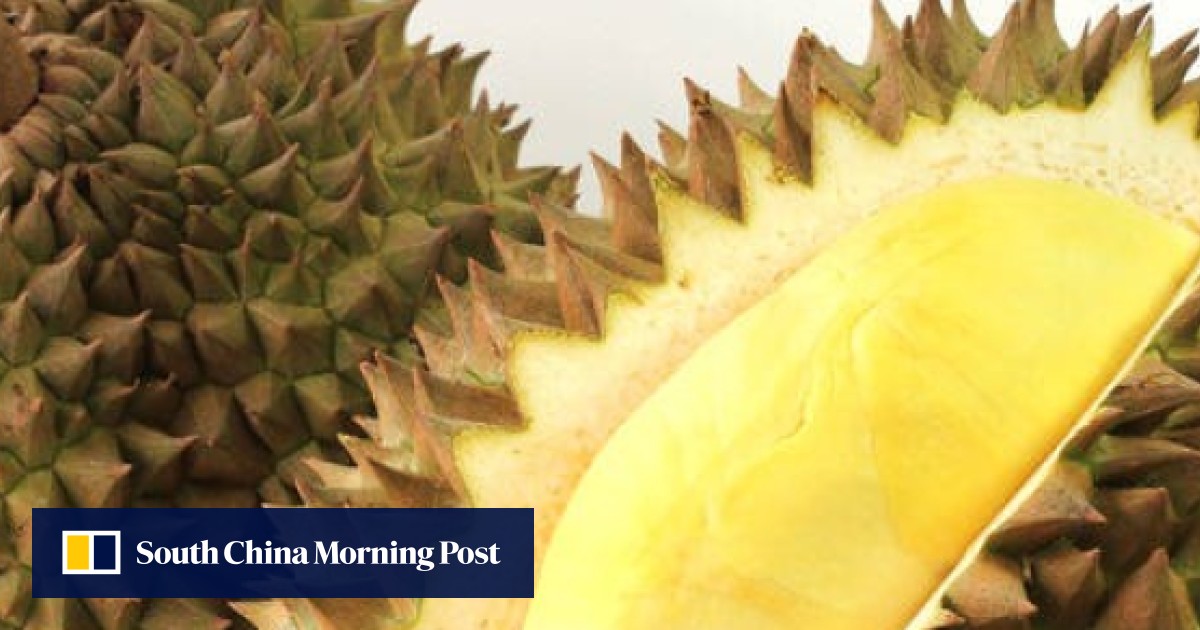 Panic as pungent durian smell is mistaken for gas leak in Australian ...