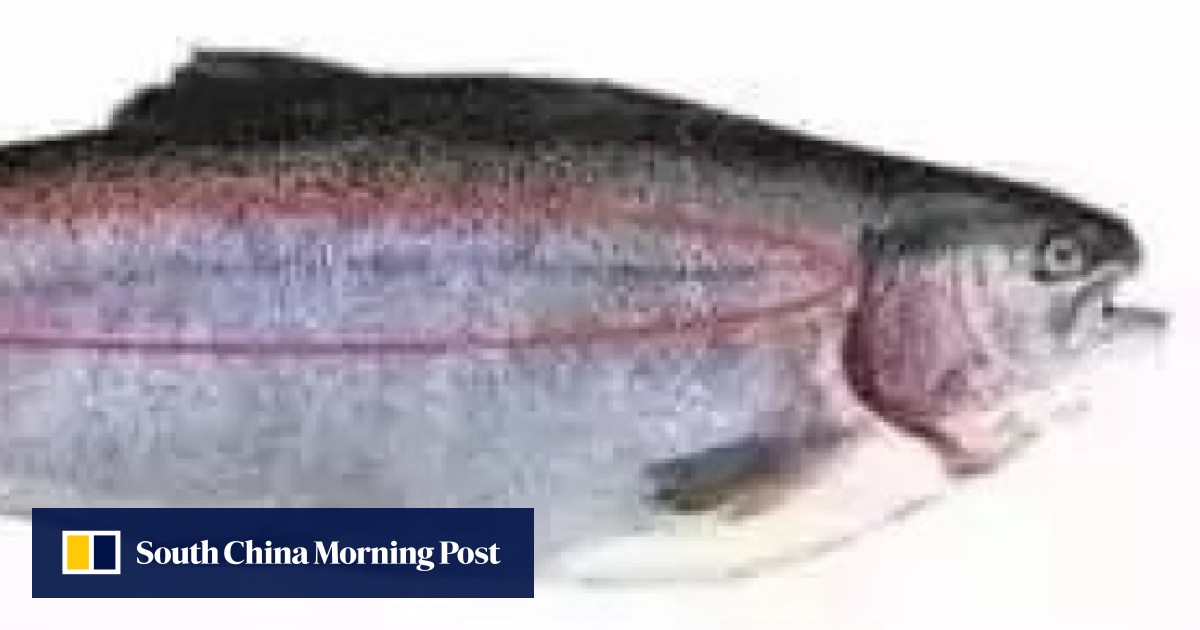 Backlash after state media reveals ‘imported’ salmon in China is ...
