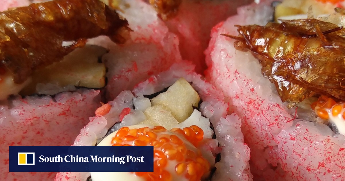 Cockroach sushi? Inside a farming revolution that could cure cancer ...