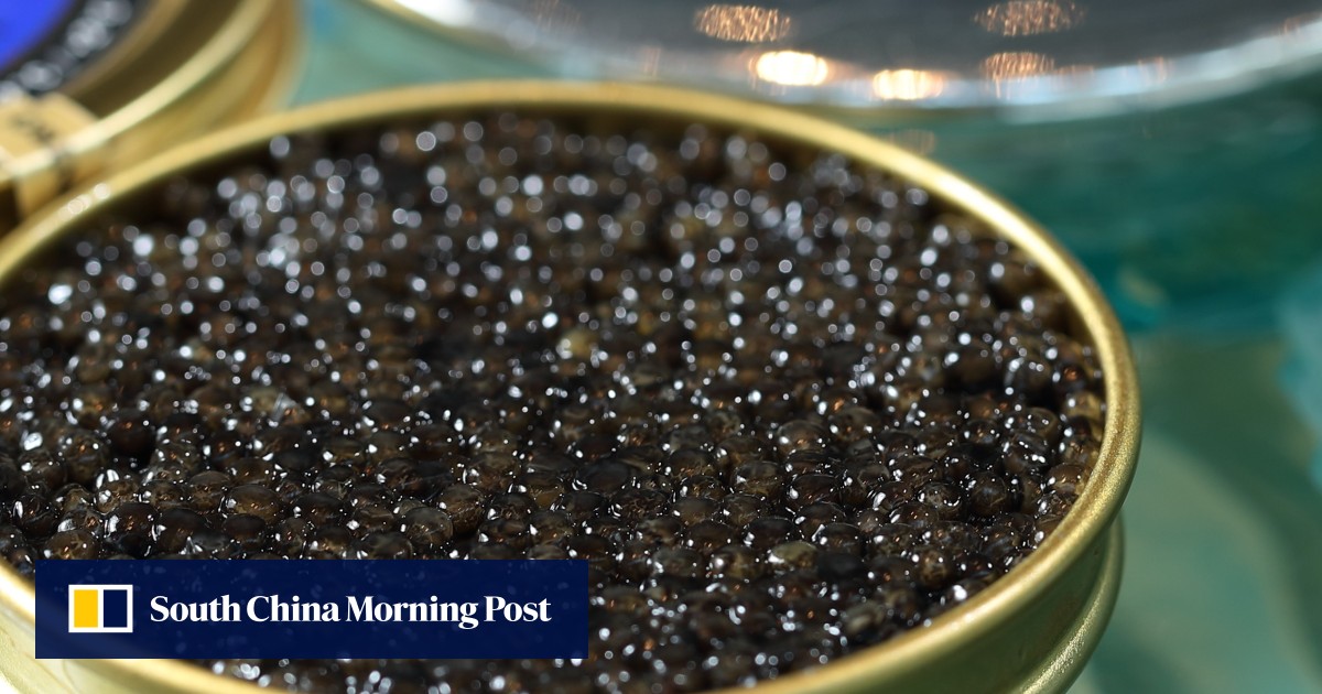 Move over, Russia, China’s in the caviar game now | South China Morning ...