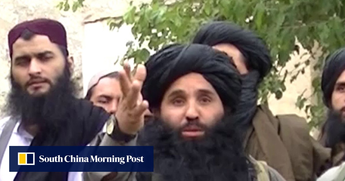 Pakistani Taliban Appoints New Leader After Maulana Fazlullah Killed By