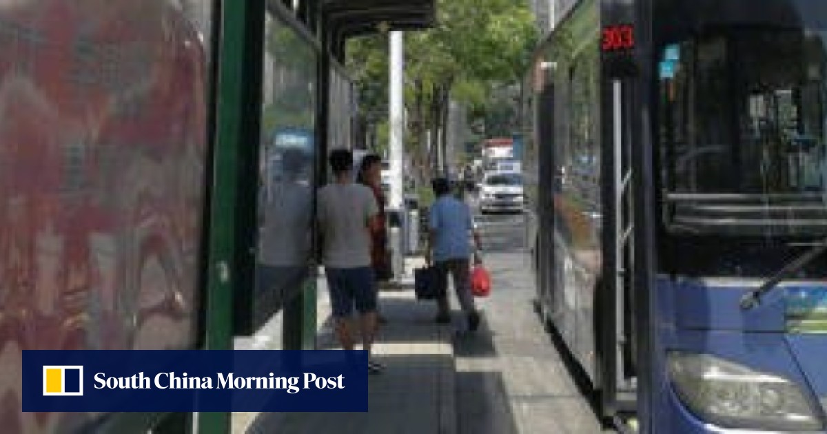 Passengers and even bus drivers duped as 45 fake bus stops appear in ...