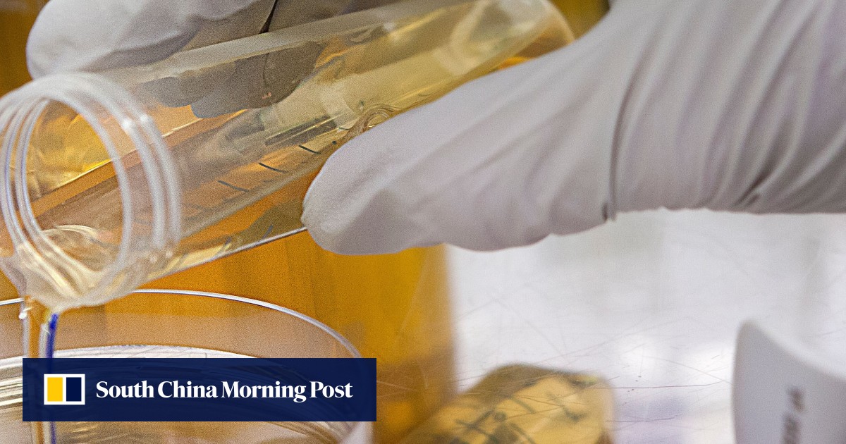 Fierce competition in China’s nascent immuno-therapy cancer drugs ...