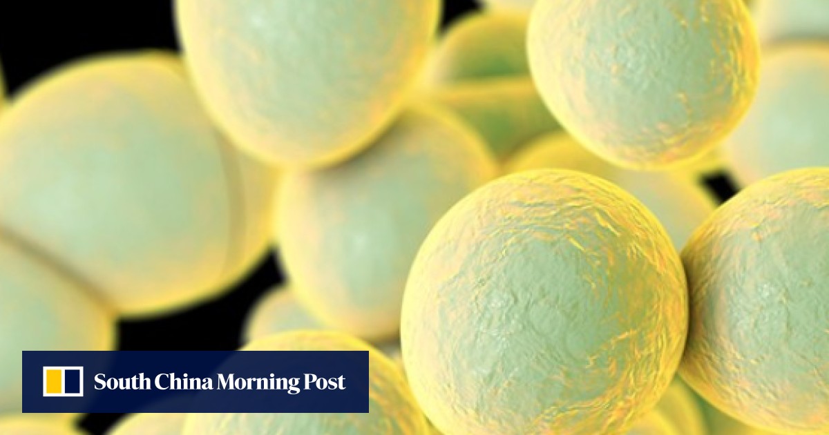 Hong Kong’s battle against antibiotic resistant superbugs pits it ...