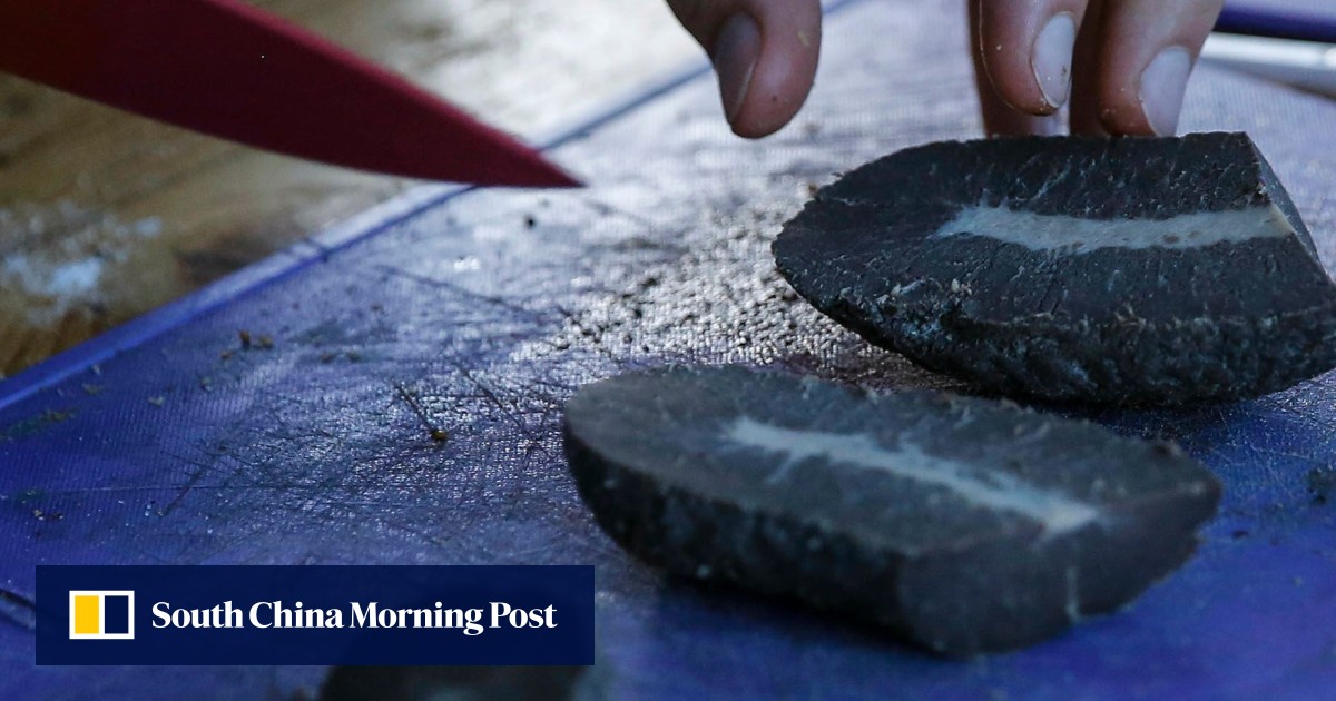 Chefs show how to cook testicles at annual contest; Serbian team takes ...