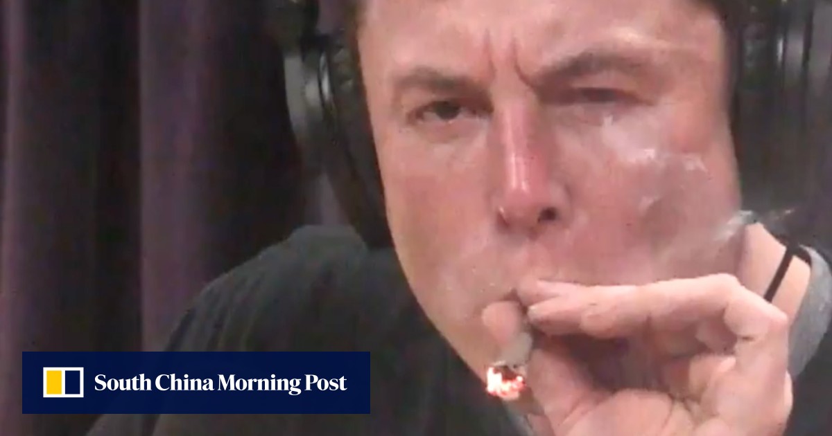 Tesla rocked as Elon Musk smokes marijuana on Joe Rogan’s podcast and ...