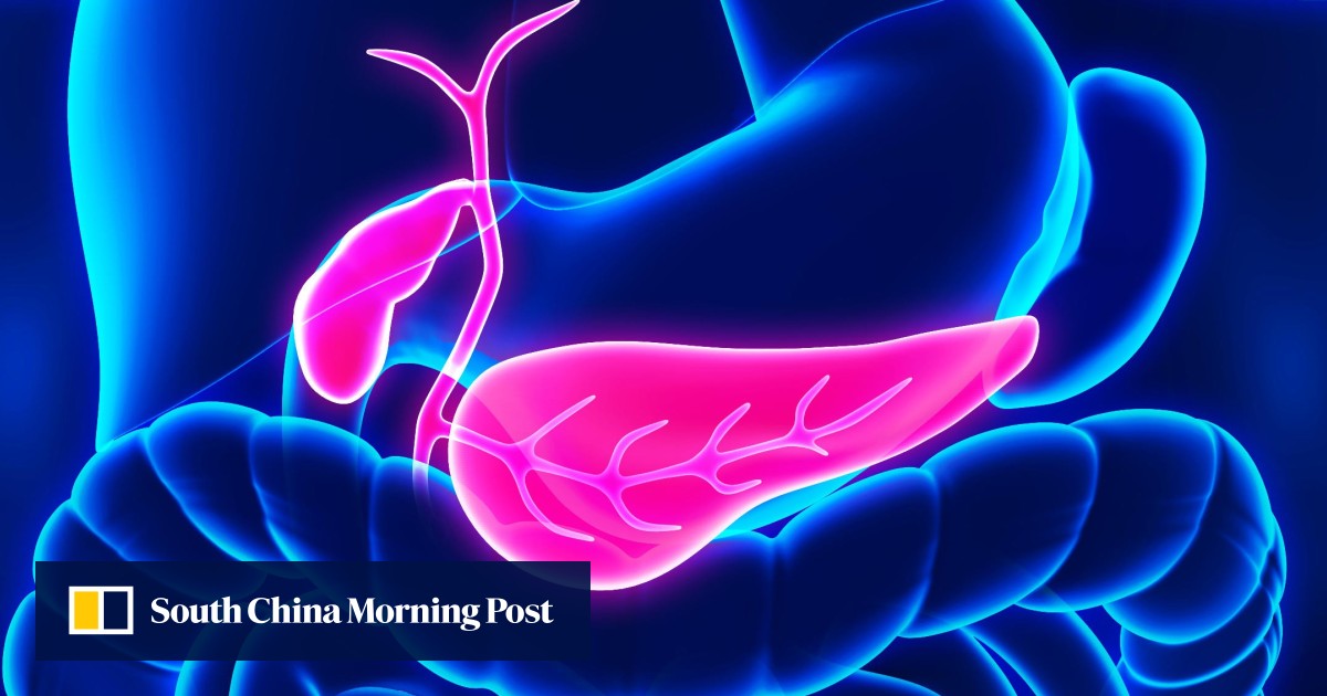 What's the most important role of the pancreas? | South China Morning Post