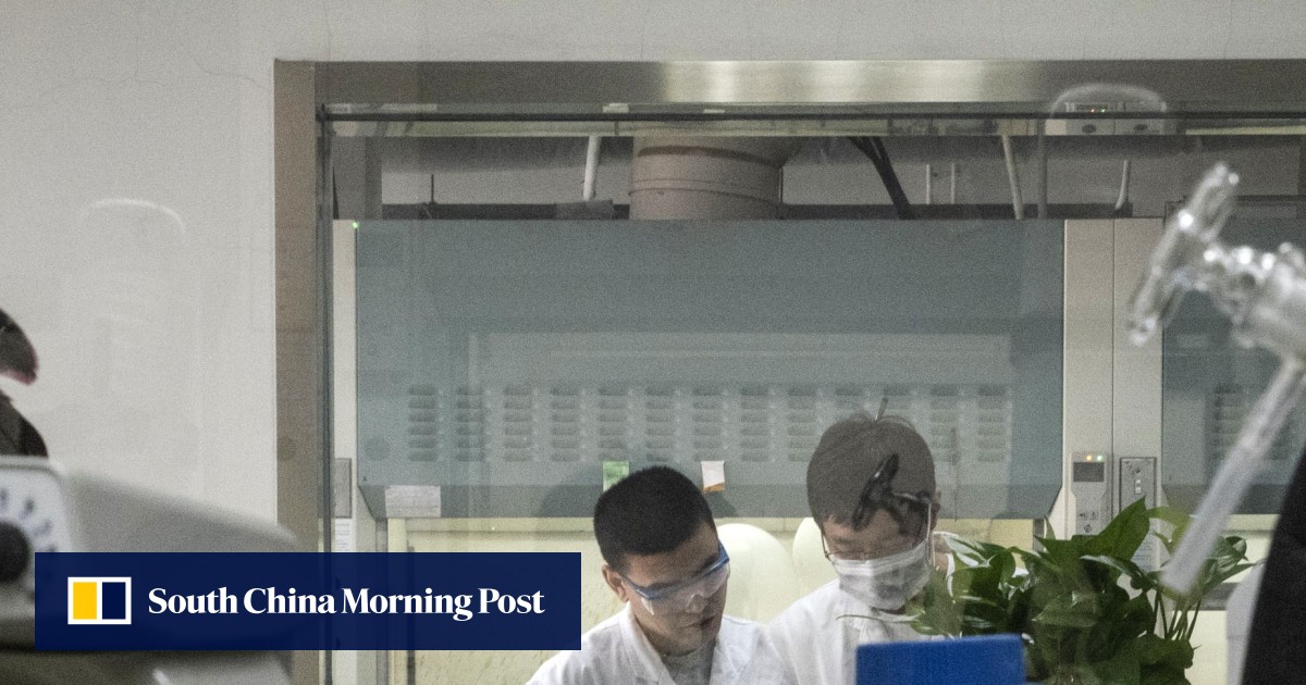 Chinese manufacturing activity little changed at very low level in ...