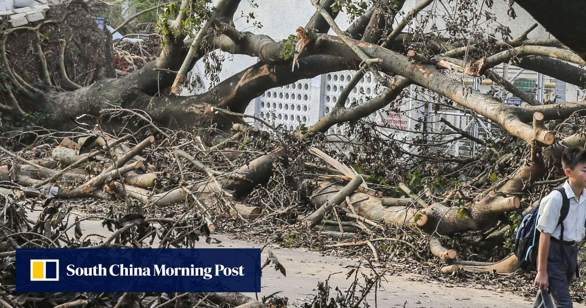 Hong Kong ombudsman will consider investigating government’s handling ...