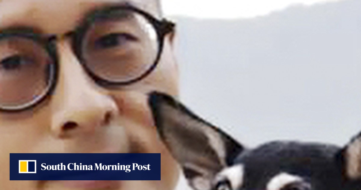 How a pet dog inspired a course at the Chinese University of Hong Kong ...