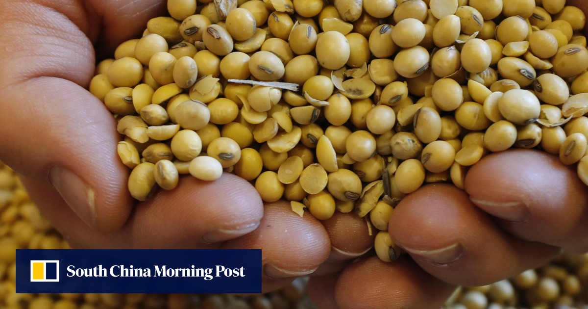 Trade war truce: China’s Sinograin confirms US soybean purchase | South ...