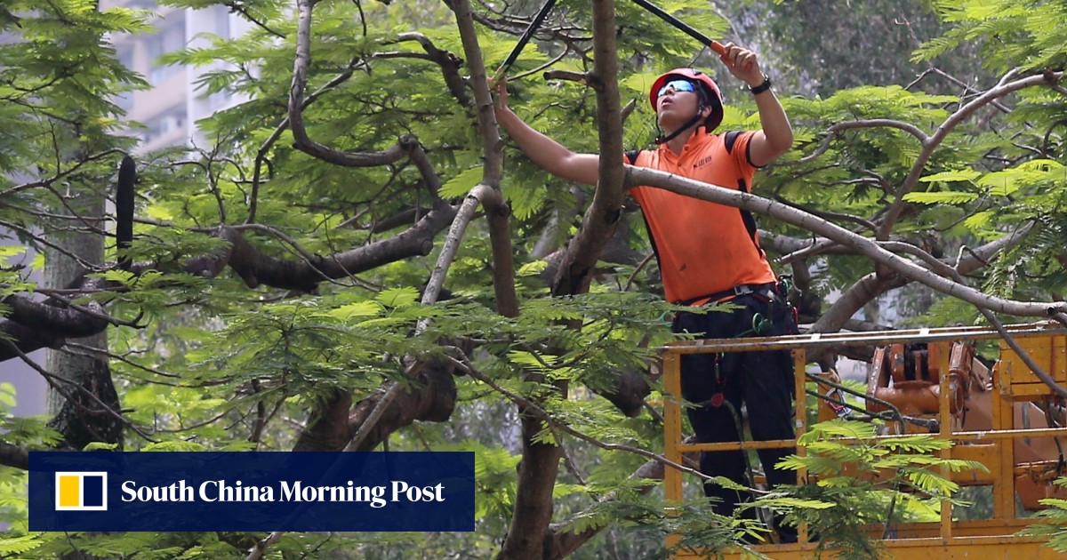 Fresh conflict of interest accusations aimed at Hong Kong firm trusted ...