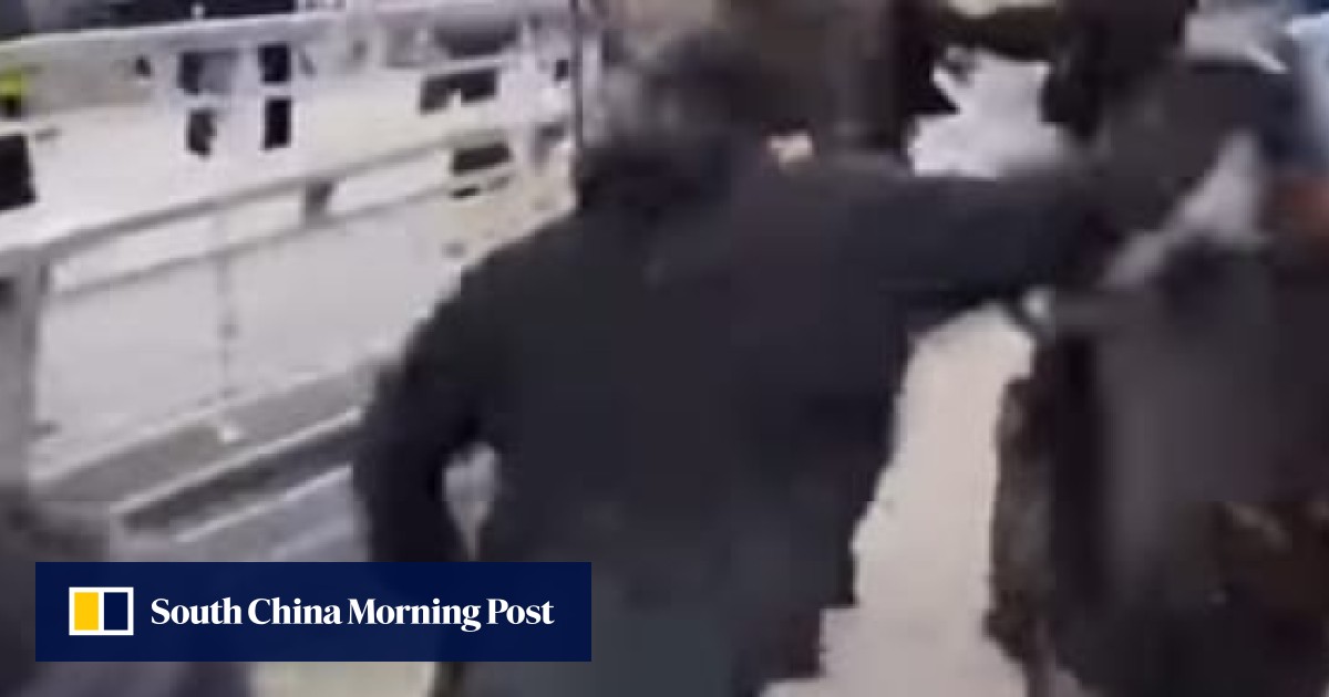 French boxer hailed as a hero after raining punches on riot police ...