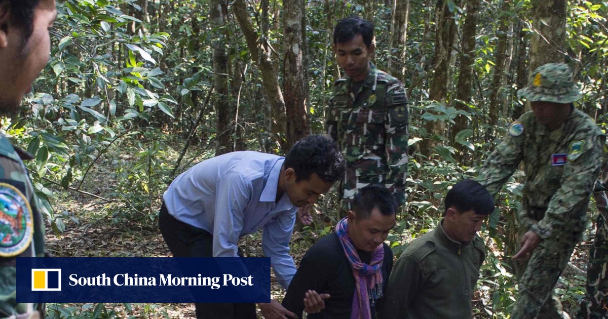 Thai forest rangers find themselves outgunned when tackling poachers ...