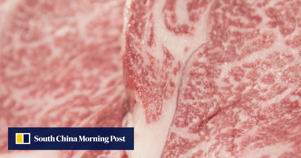 Wagyumafia’s luxury Japanese beef lives up to the hype (yes, even the ...