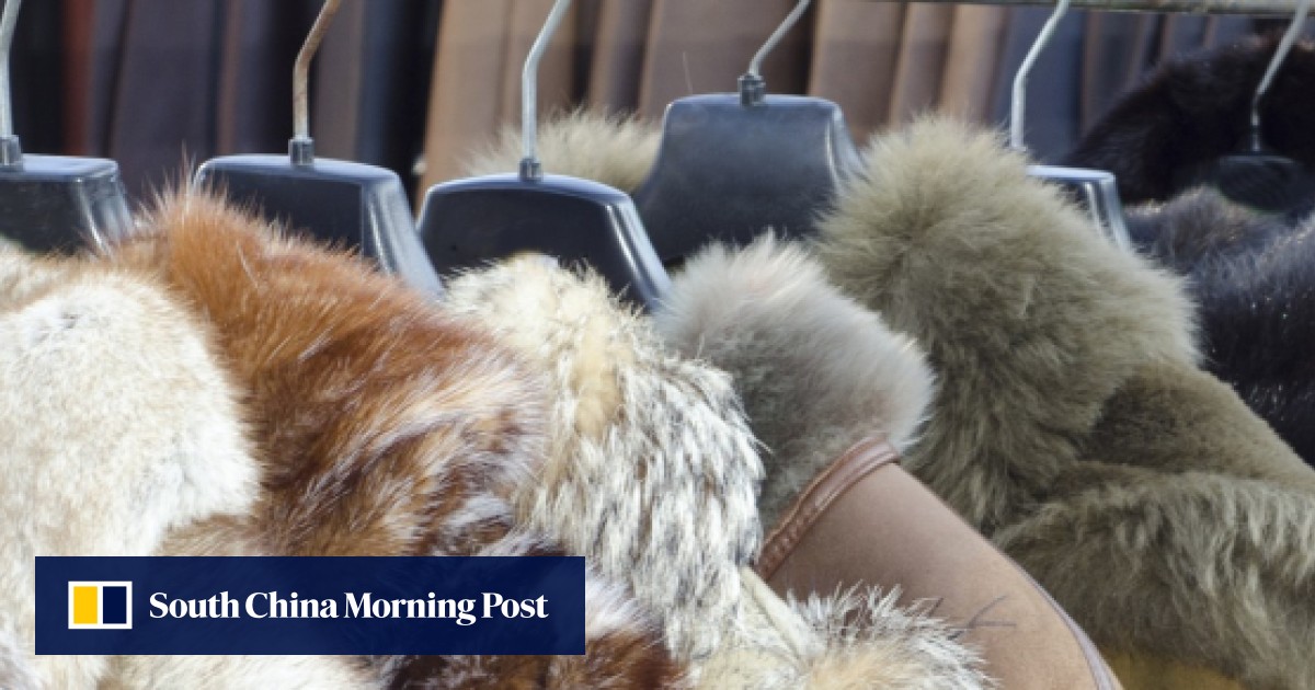 If the label says it’s real fur, can you be sure it’s not fake? | South ...