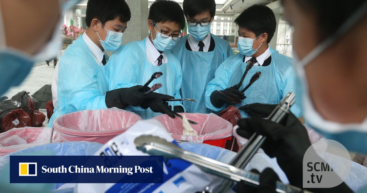 Schooled in rubbish: Hong Kong students learn the basics of recycling ...