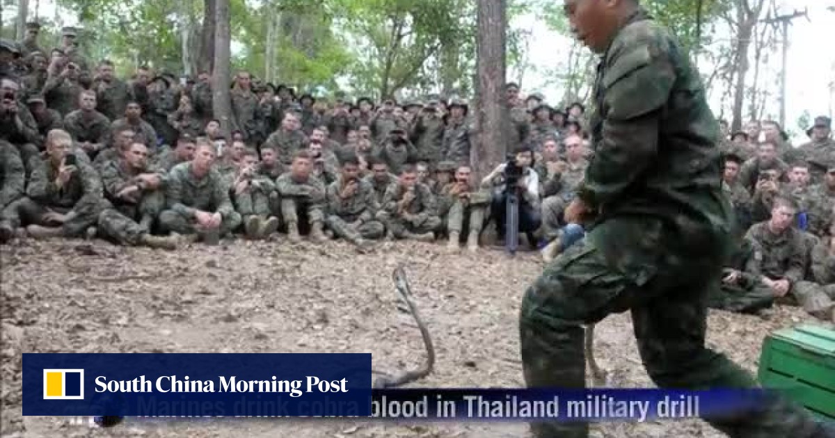 Marines drink cobra blood in Thailand military drill | South China ...