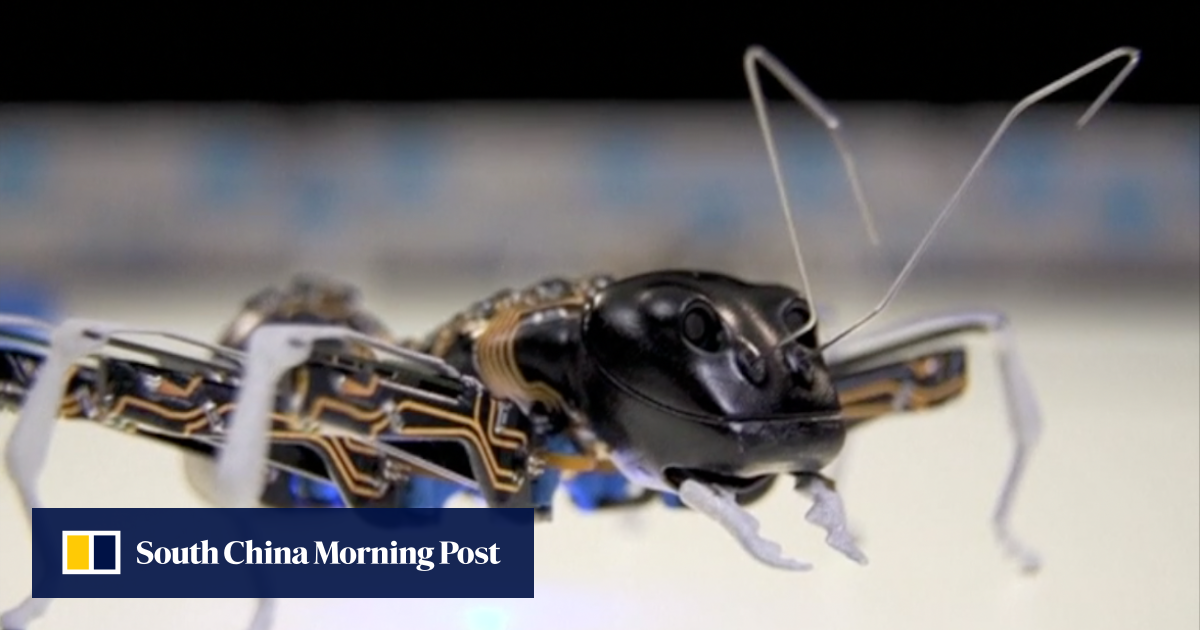 Bionic ants could be tomorrow's factory workers | South China Morning Post