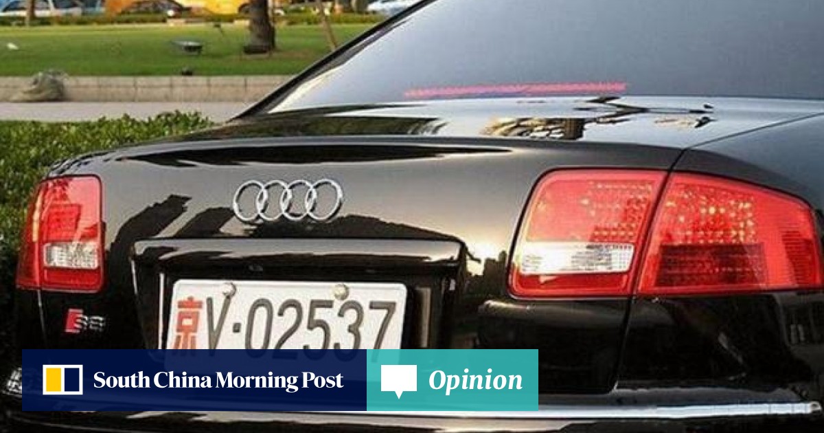 Campaign to end abuse of official number plates won't be easy | South ...