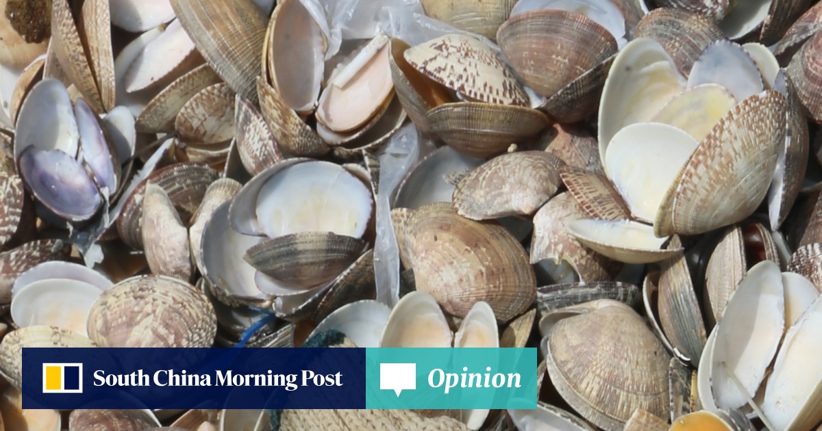 Hong Kong’s red-hot corporate shell game is cause for concern | South ...