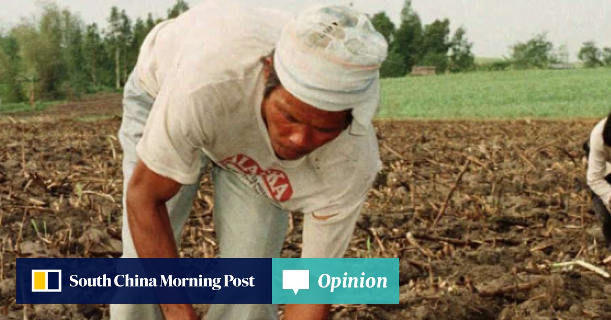 How free movement of labour makes the rich richer and the poor poorer ...