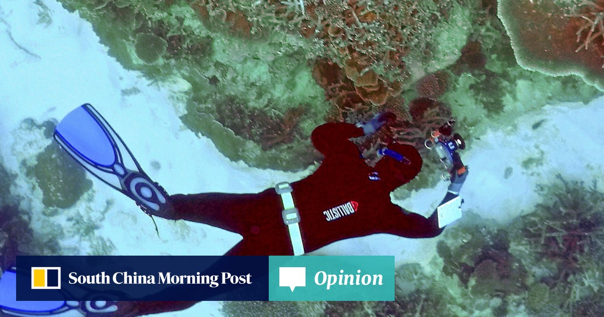 The doom boom: ‘Last-chance tourism’ causes more harm than good, and ...